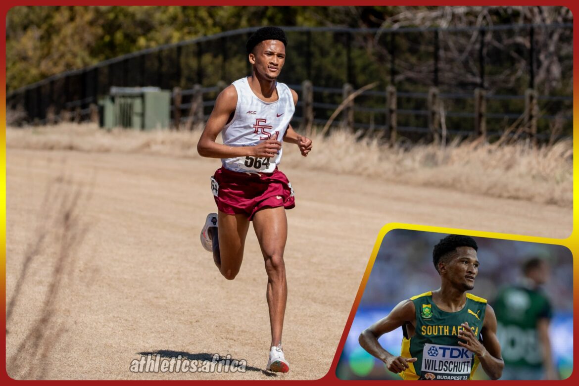Wildschutt shatters South African 10km record in Gqeberha – Athletics ...